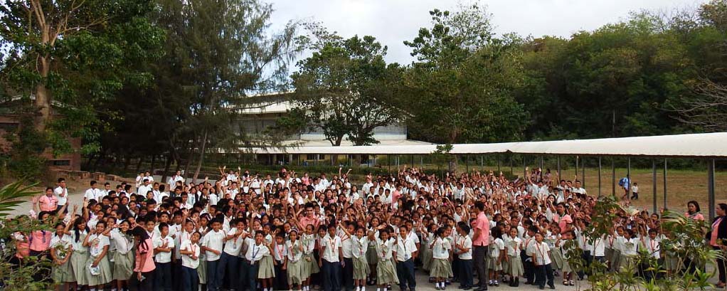 Semirara Mining and Power Corporation